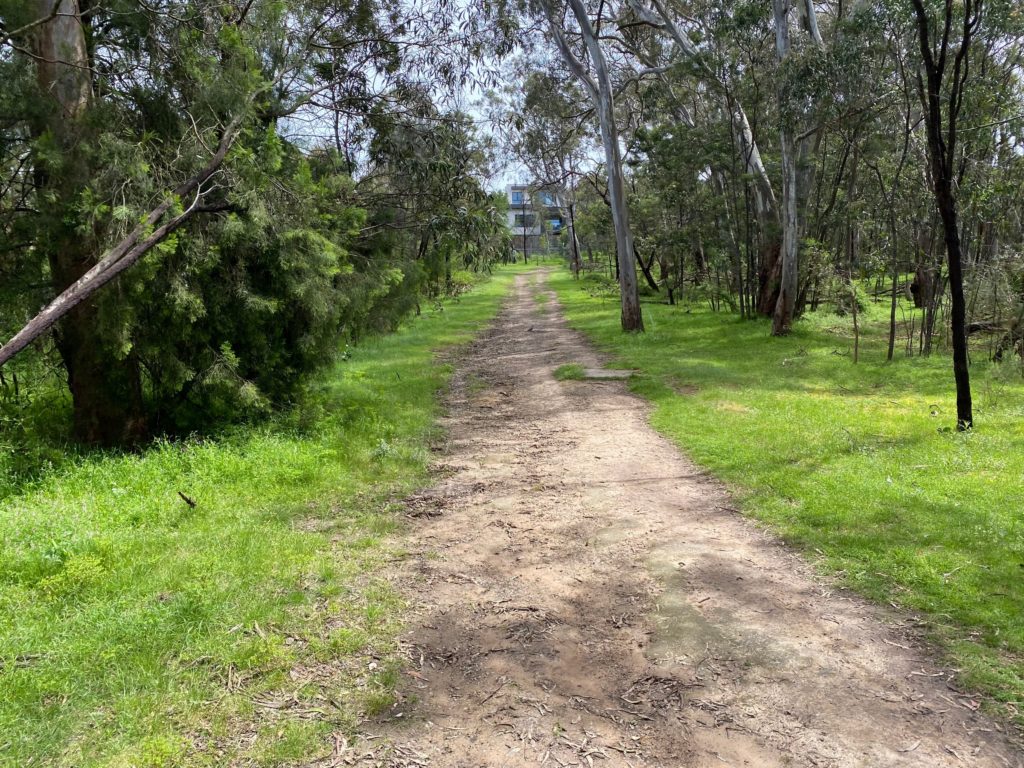 Gresswell Forest – Trail Navigator Blog