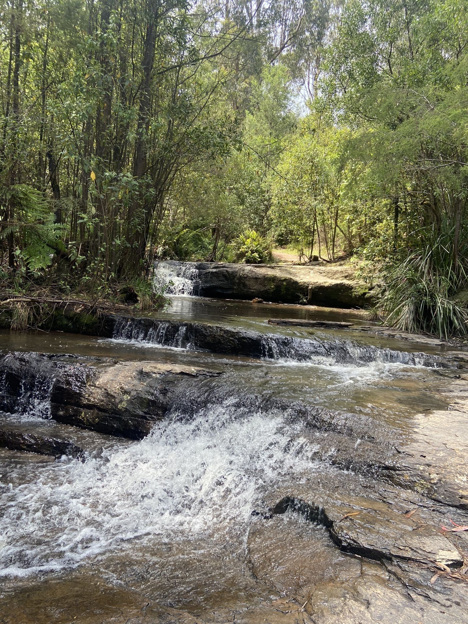 Mason Falls & the Sugarloaf Circuit: A Stunning Hike – Trail Navigator Blog