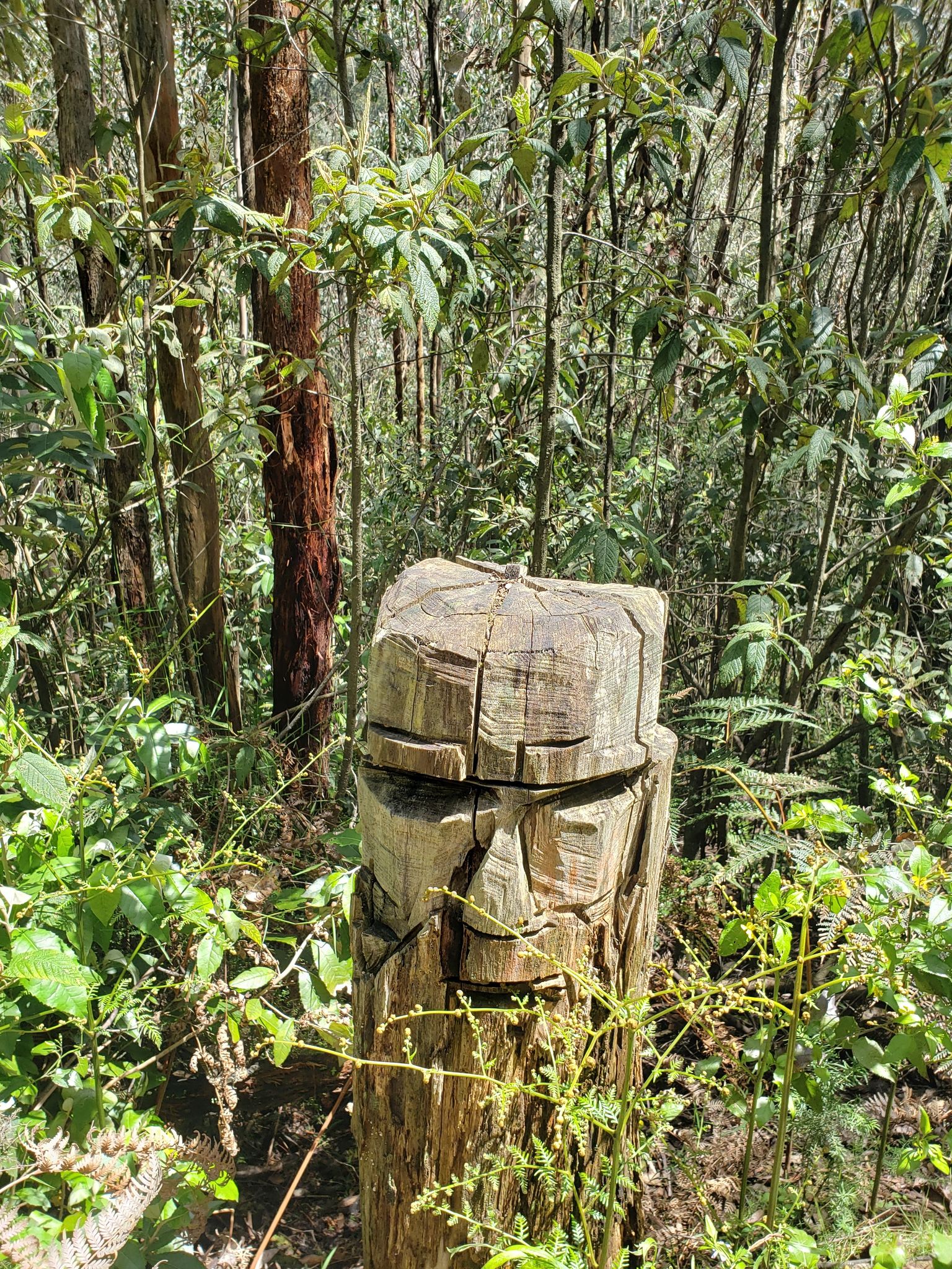 Mason Falls & the Sugarloaf Circuit: A Stunning Hike - Trail Navigator Blog