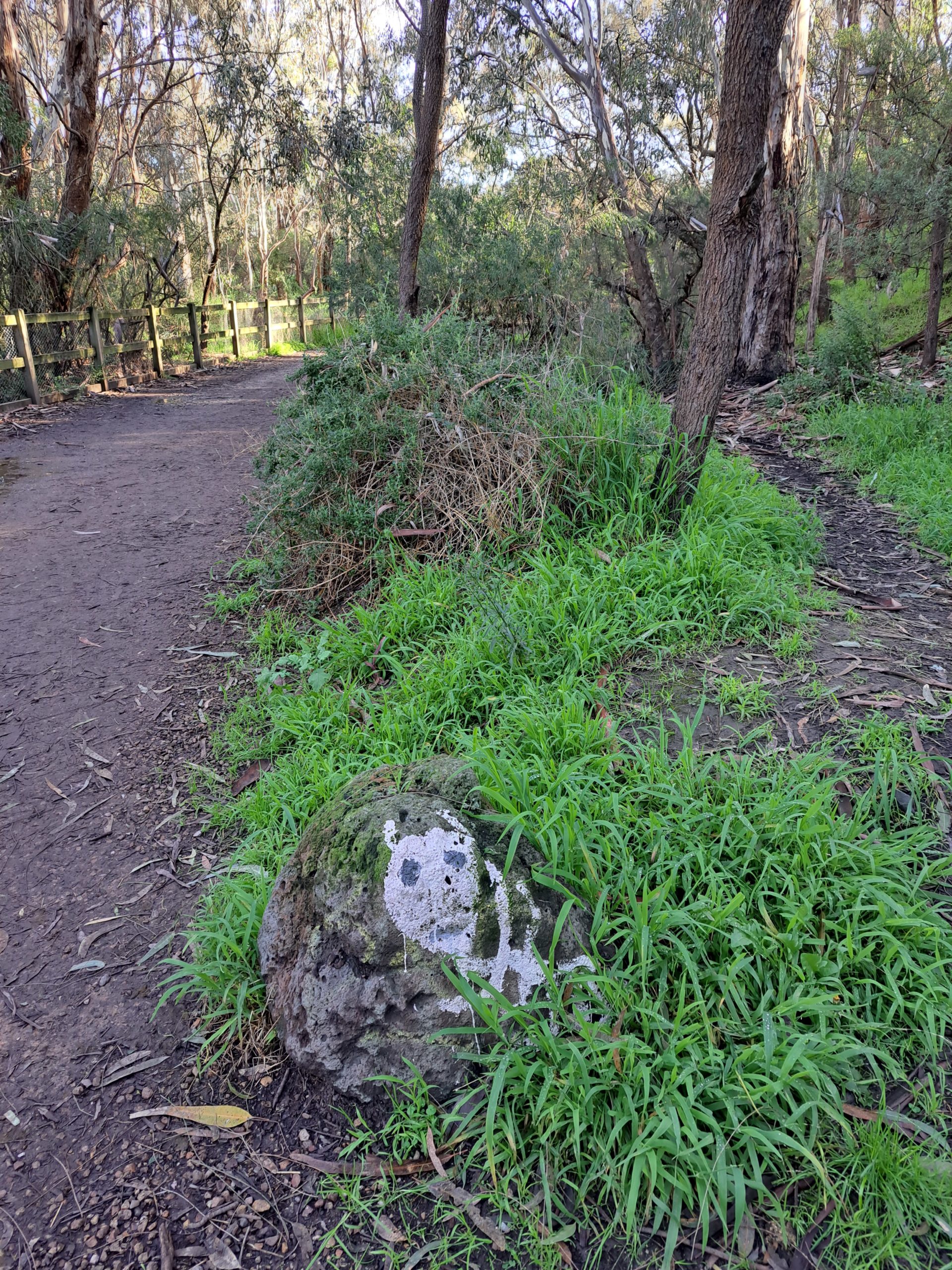 An Oasis in the Middle of a Concrete Jungle – A Day Walk through Yarra ...
