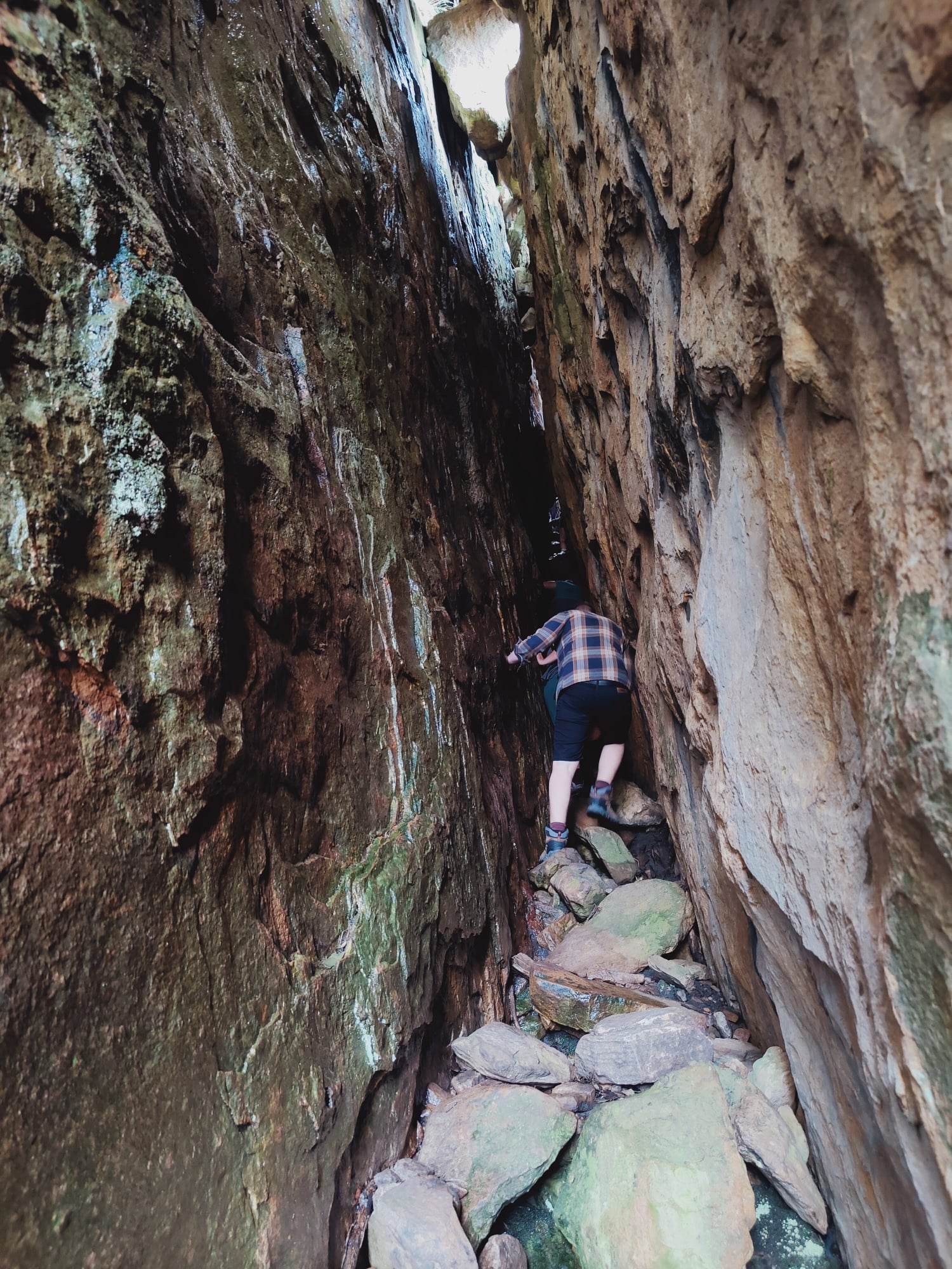 Sugarloaf Peak via Wells Cave Track and Canyon Track – A Day Walk in ...