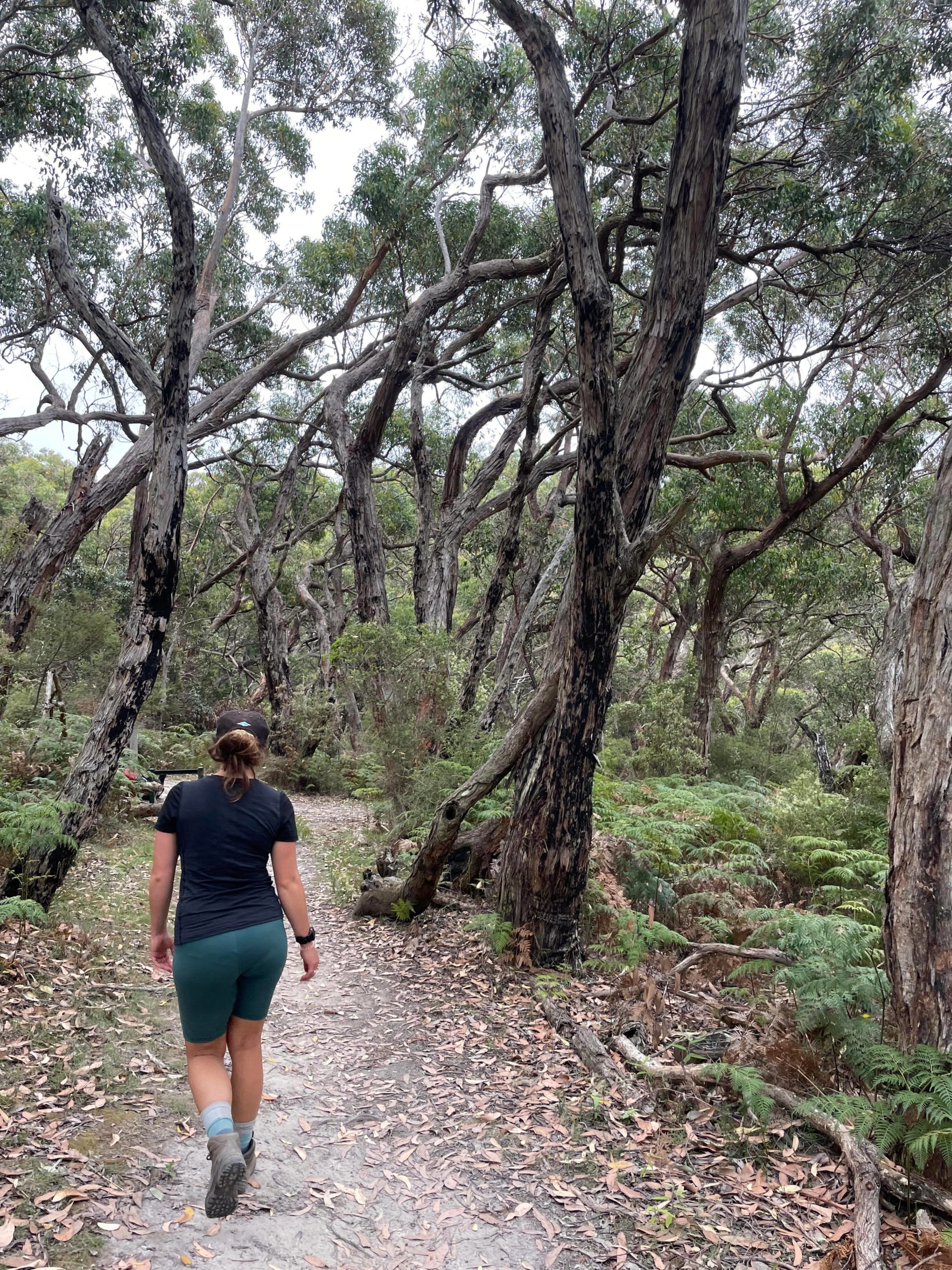 Great Ocean Walk Day 5 – Ryans Den to Devils Kitchen – Trail Navigator Blog